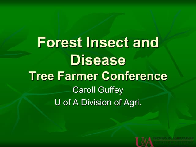 Corn pest complete | PPTX