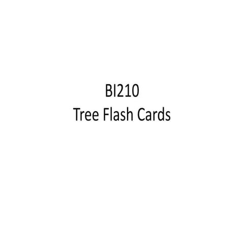 Tree Flashcards View Only | PPSX