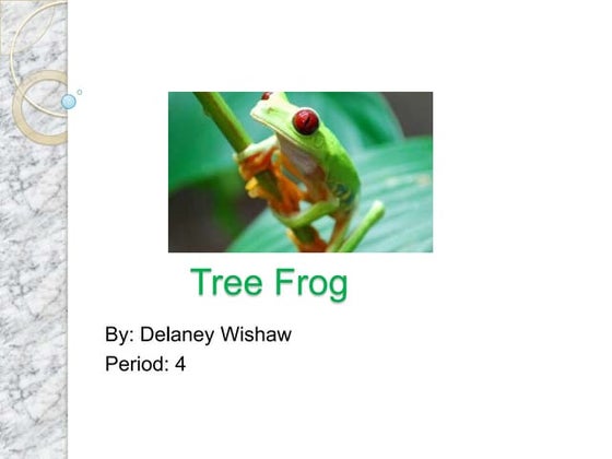 Frog | PPT