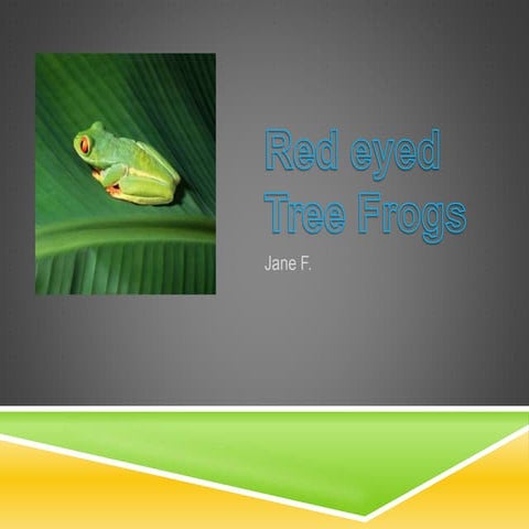 Tree frogs | PPT