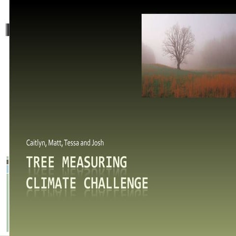 Tree Measuring | PPT