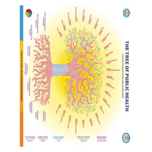 TREE OF PUBLIC HEALTH - A CONCEPTUAL FRAMEWORK.pdf