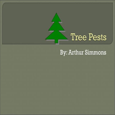 Tree pests | PPT