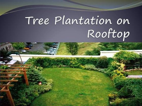 Tree plantation | PPTX