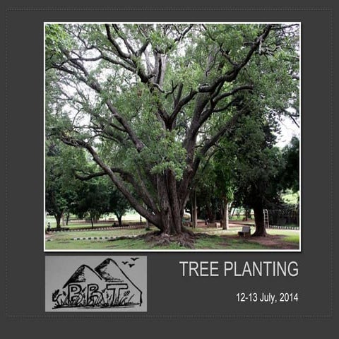 Tree planting at bbt | PPT
