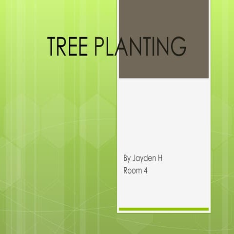 Tree planting by jayden h | PPT