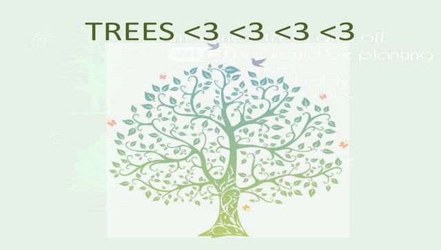 Duhat Tree Clip Art