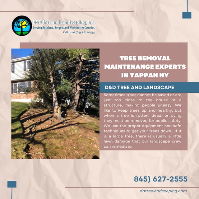 Tree Removal Maintenance Experts in Tappan NY | PDF