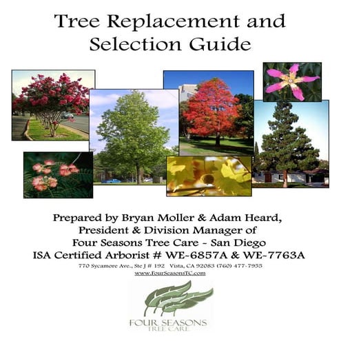 Tree Replacement & Selection Guide 2009 | PDF
