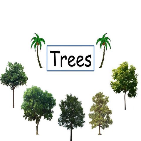 Trees,our only real friends | PPTX