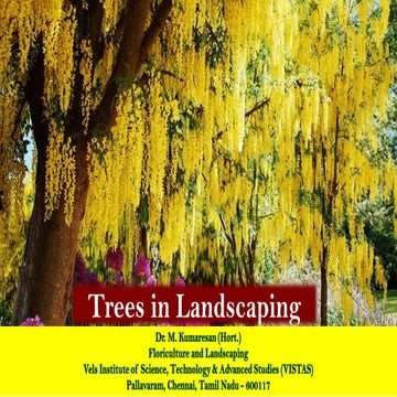 ROAD SIDE TREE PLANTING IN LANDCAPE..pdf
