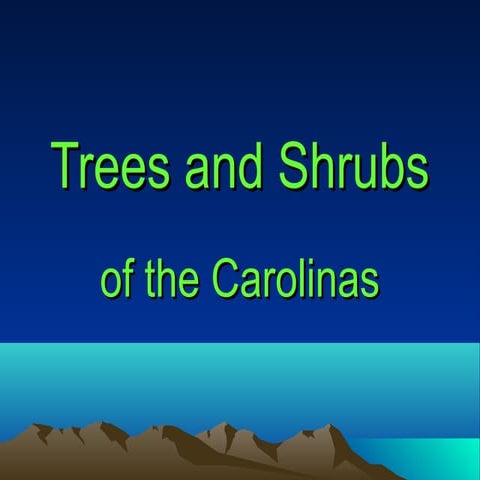 Trees and shrubs | PPT