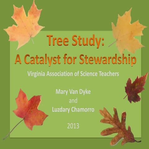 Tree Study A Catalyst for Stewardship | PPT
