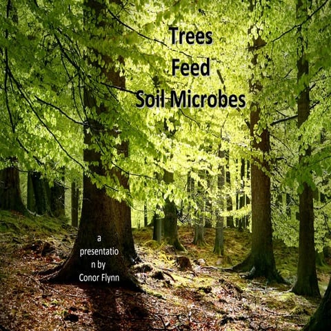 Trees Feed Microbes (and Microbes Feed the Trees) | PPT