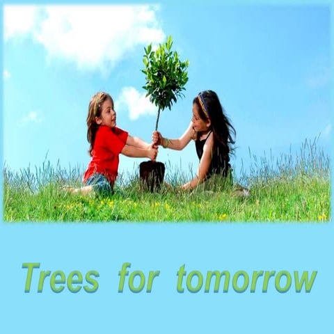 Trees for tomorrow | PPSX