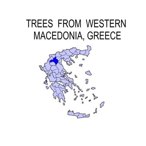 Trees from western macedonia , greece | ODP