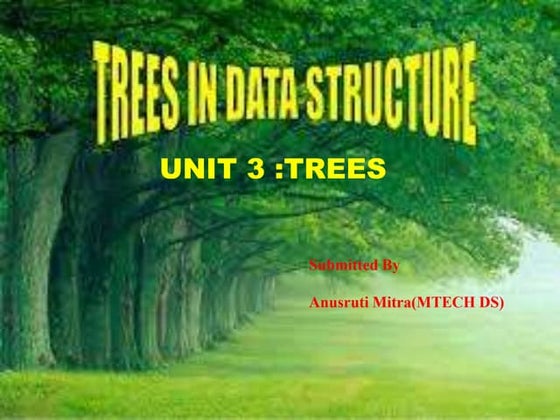 Binary Tree In Data Structure Ppt 7678