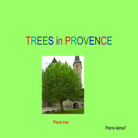 Trees in Provence | PPT