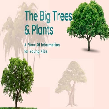 The Big Trees and Plants | PPT