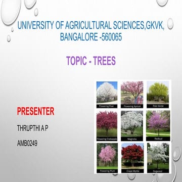Ornamental Trees In Landscape India Pptx