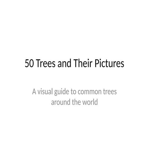 Trees_Presentation_with_Placeholders.pptx