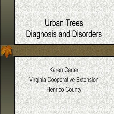 Tree stewards tree problems | PPT