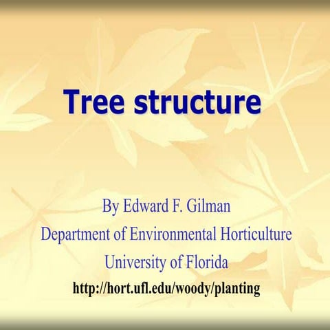 treestructure005.ppt