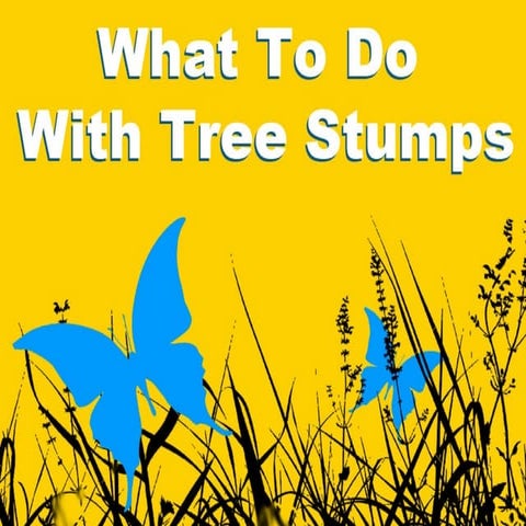 What to Do with Tree Stumps | PPT