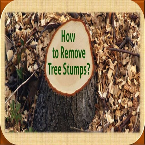 Tree stump removal methods | PPTX