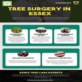 Tree Surgery in Essex Tree Surgeon in Essex TreeCology.pdf