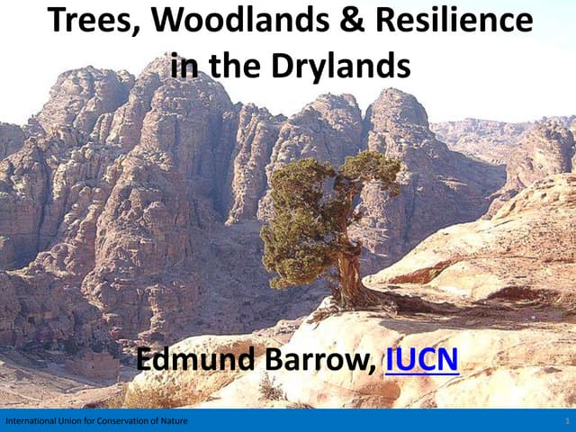 Trees, woodlands and resilience in the drylands - CIFOR-ICRAF Knowledge