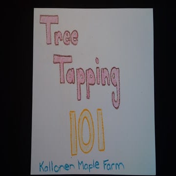 Tree tapping 101 1 | PPT
