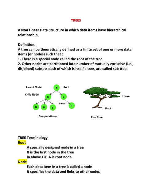 Tree Terminology And Introduction To Binary Tree Pdf Programming Languages Computing