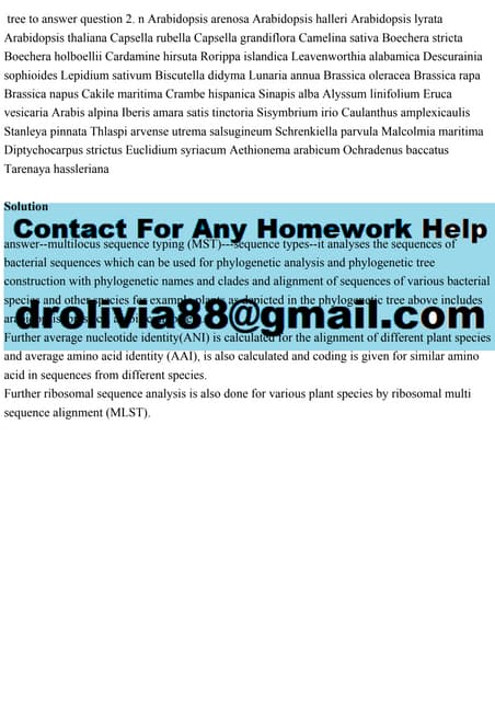 Implement A Minimum Spanning Tree Using Boruvkas Algorithm Ipdf
