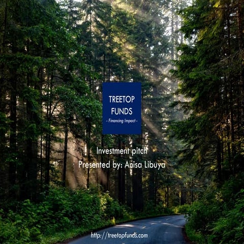 Treetop Investment Motivation | PDF