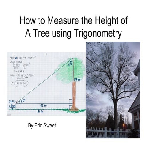 Eric's Tree Trig Presentation | PDF