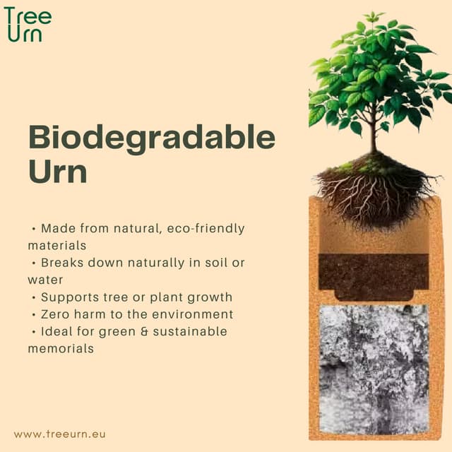 Treeurn pdf biodegradable Urn A Gentle Return to Nature.pdf