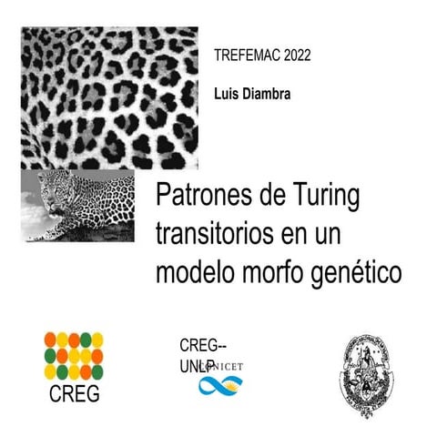 Turing Patterns in a morphogenetic model | PPTX