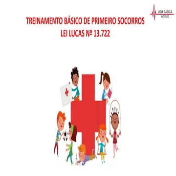 LEI LUCAS de primeiros socorros na educação básica e infantil | PDF