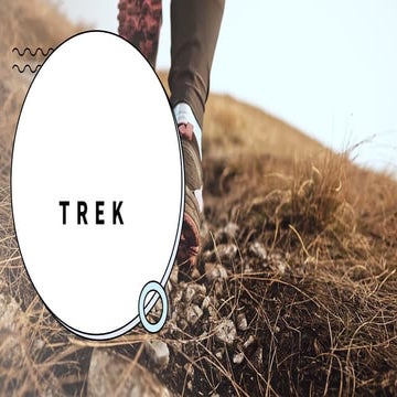 description of the company trek and their values and ethics.pdf