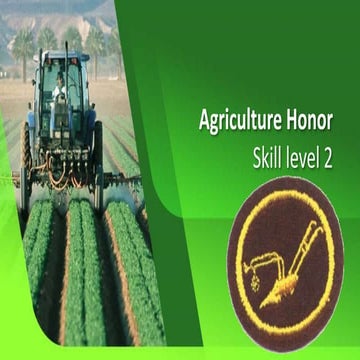 Agriculture Honor | PPTX