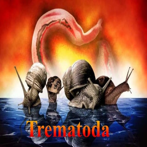 Powerpoint presentation for Trematoda.pdf