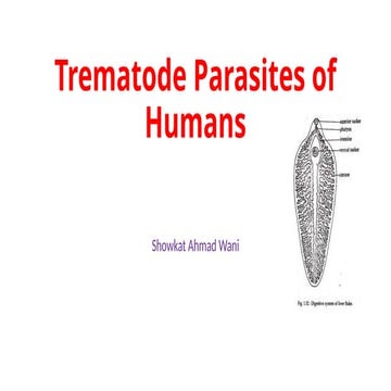 Trematodes by Dr. Rakesh Prasad Sah | PPTX