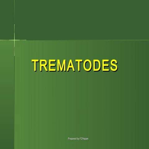 Trematodes | PPT