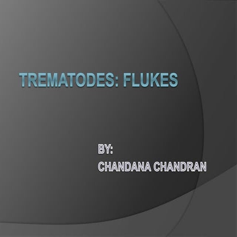 Trematodes:FLUKES | PPTX