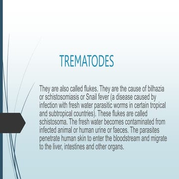 TREMATODES.pptx