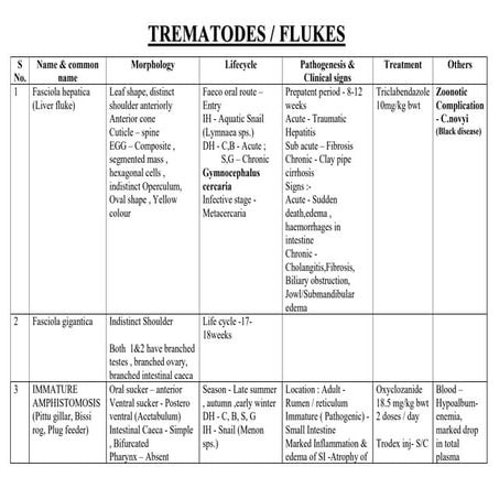 Trematodes - by Sanjan PV 20-52.pdf based on life cycle | PDF