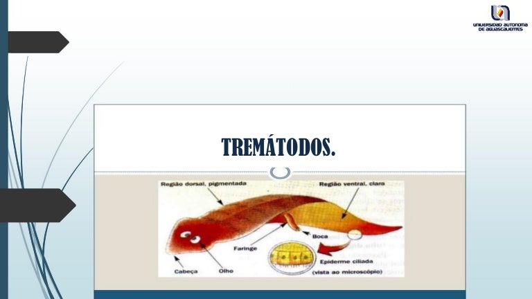 Tremátodos