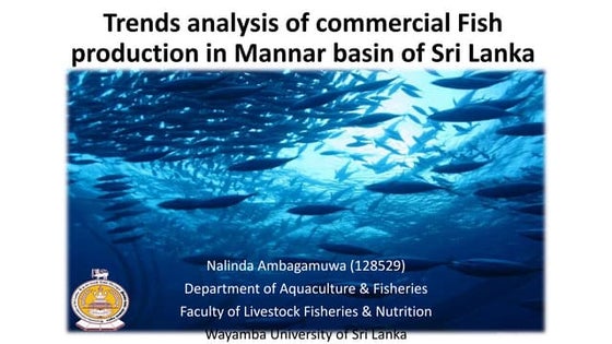 Flows within Fisheries Value Chain Financing | PPT | Business ...