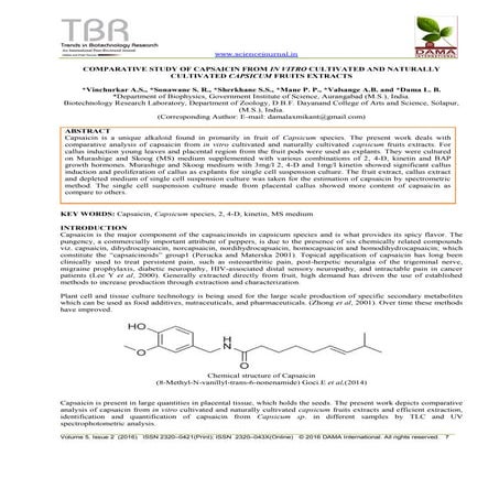 COMPARATIVE STUDY OF CAPSAICIN FROM IN VITRO CULTIVATED AND NATURALLY ...